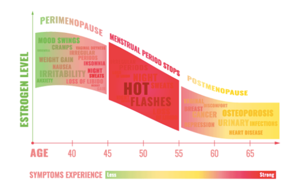 Overview of the Menopause - The Hormone Centre